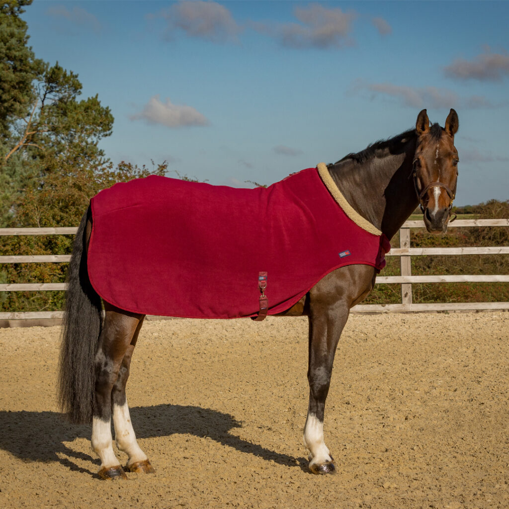 Comfort Zone Walker Rug - Comfort Zone Equestrian