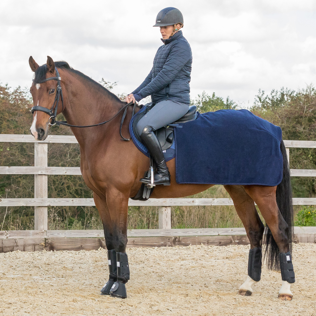 Comfort Zone Exercise Quarter Sheet - Comfort Zone Equestrian
