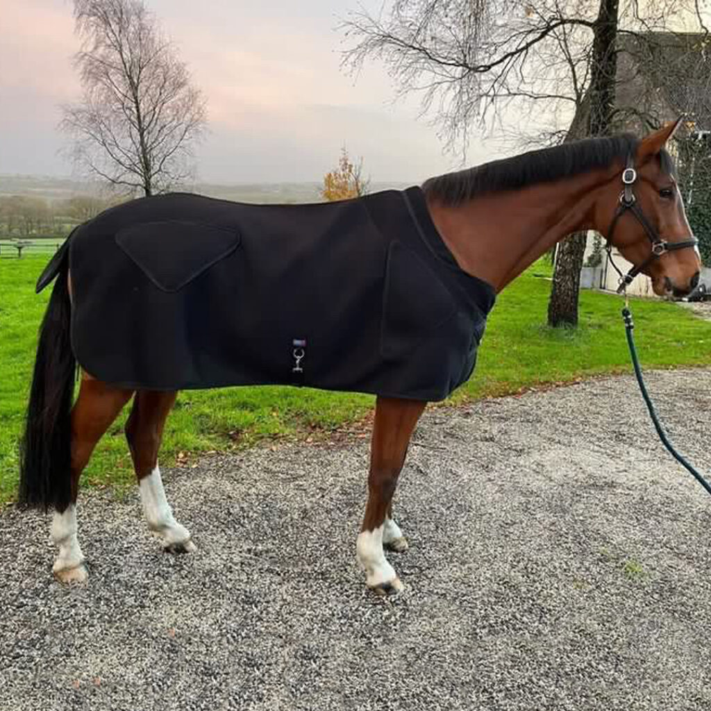 Comfort Zone Travel Transit Rug - Comfort Zone Equestrian