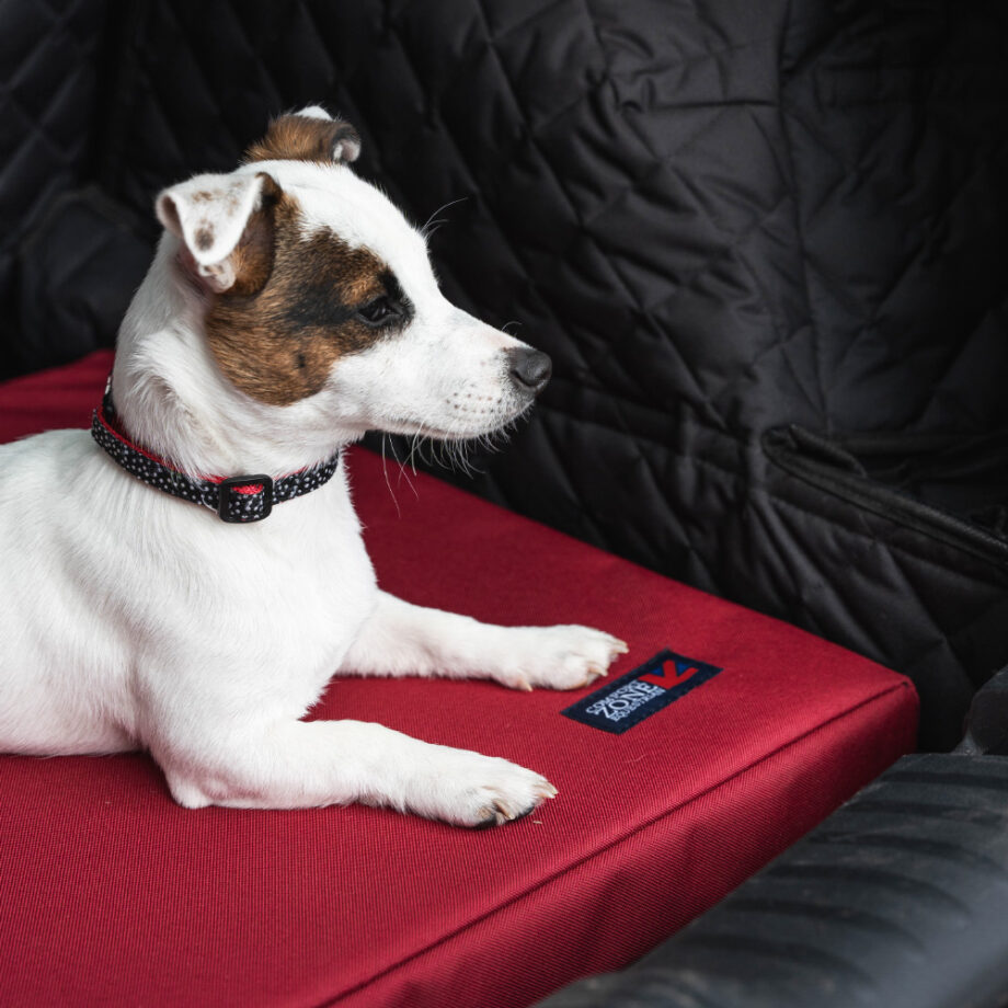Comfort Zone Heavy Duty Dog Crate Bed - Comfort Zone Equestrian