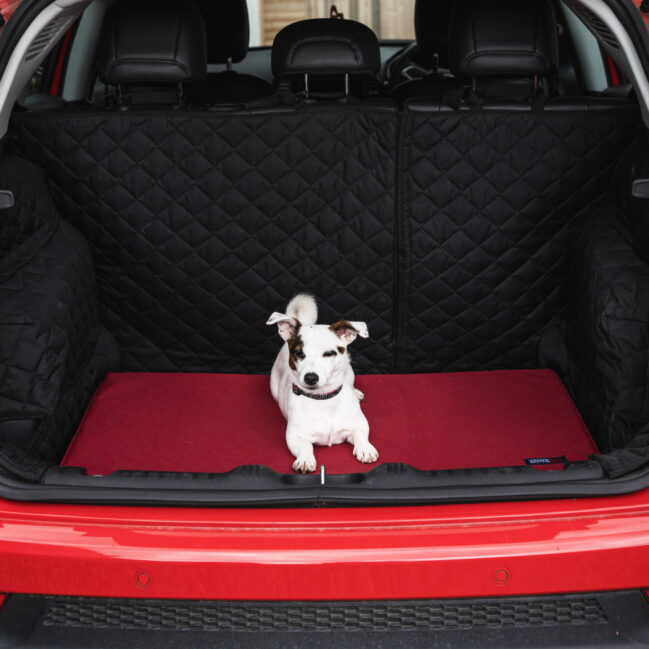 Comfort Zone Heavy Duty Dog Crate Bed - Comfort Zone Equestrian